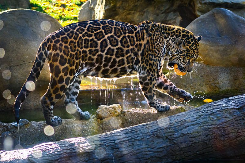 ZOO Zlín - školní výlet Zlínský kraj - Vyhledejte si nejvhodnější ...